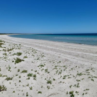 Burners Beach 🏖️ Yorke-Halbinsel, Australien - detaillierte Funktionen ...