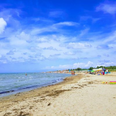 Calambrone dog beach 🏖️ Calambrone, Pisa, Italien - detaillierte ...